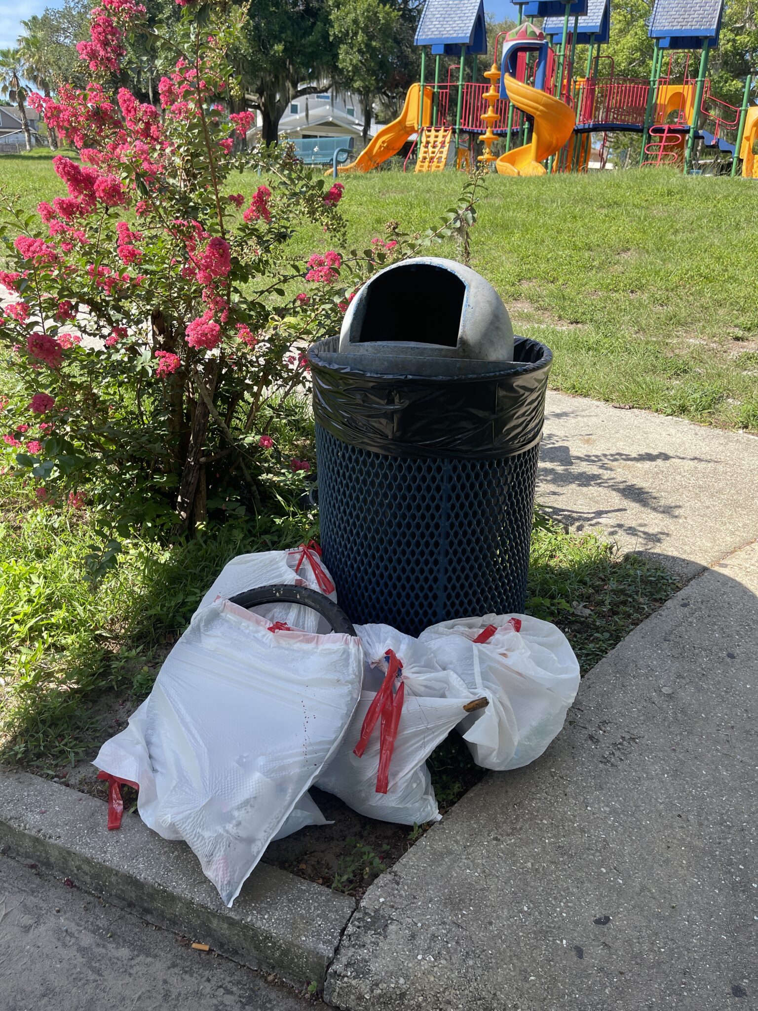 Kiwanis Park Clean-up – Kiwanis Club of Winter Haven